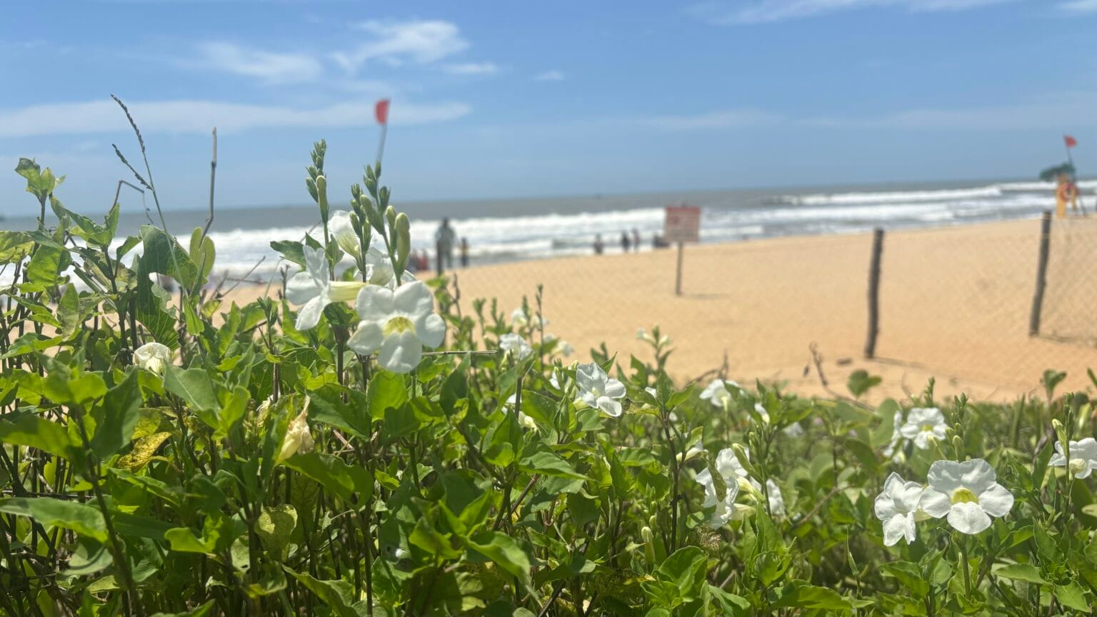 Honnavar : The Hidden Gem Of Karnataka’s Coastline