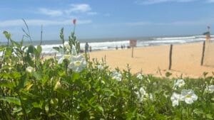 Honnavar : The Hidden Gem Of Karnataka’s Coastline